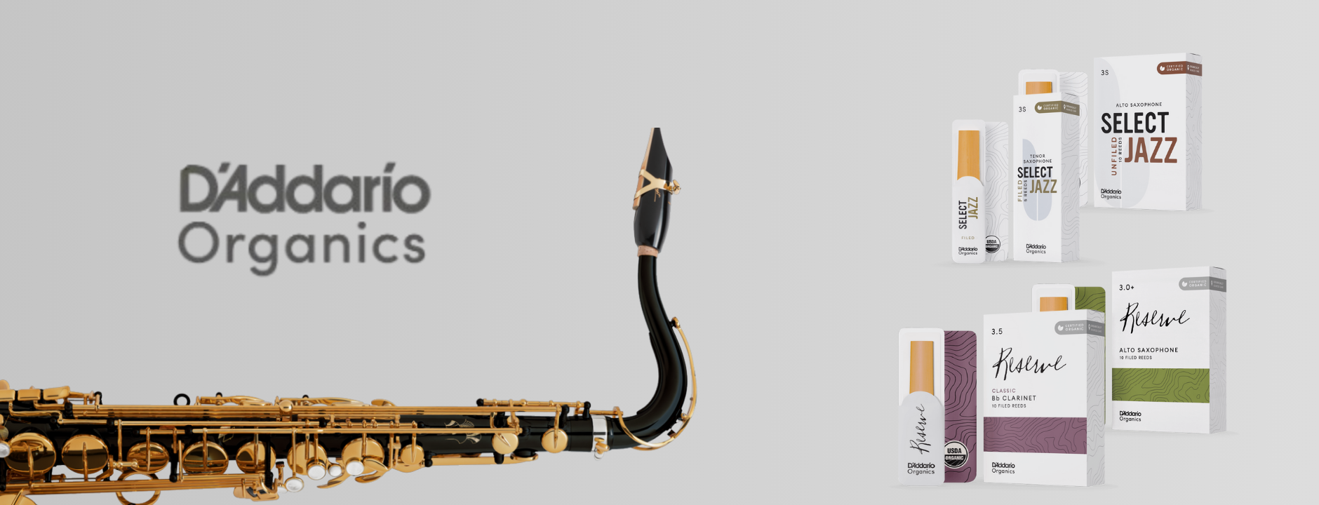 Casa Jayes: Tienda de Instrumentos y Accesorios Musicales