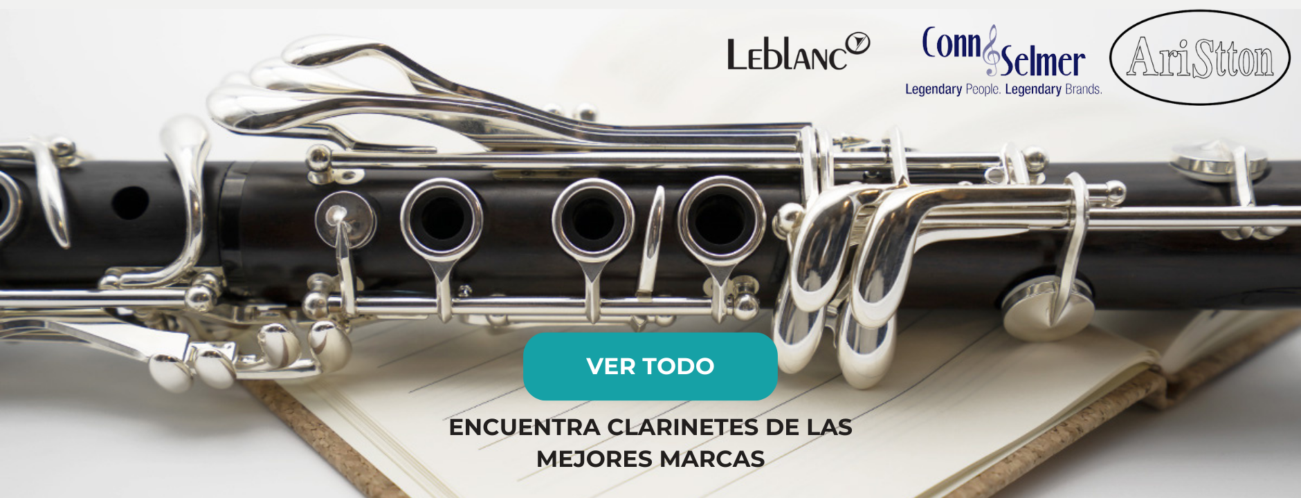 Casa Jayes: Tienda de Instrumentos y Accesorios Musicales